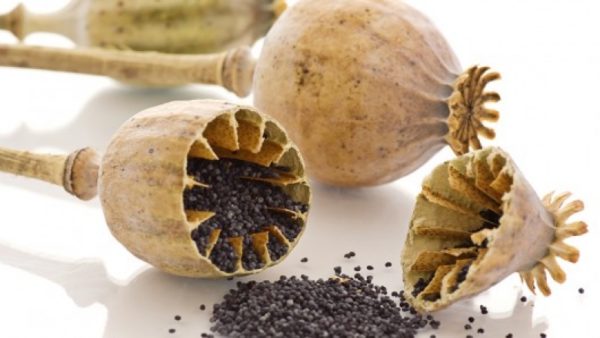 Argintul coloidal - 9 beneficii demonstrate (studii) - Vegis.ro Blog