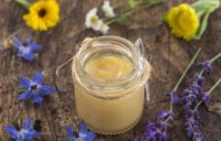 Laptisorul de matca: 15 beneficii pentru sănătate şi frumuseţe!