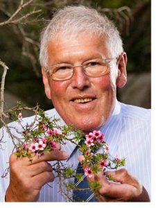 Totul despre mierea de Manuka (pdf)