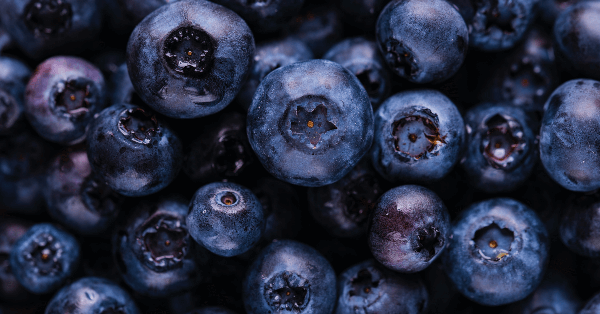 Afine: 9 Motive să le incluzi în dieta ta. Rețete cu afine