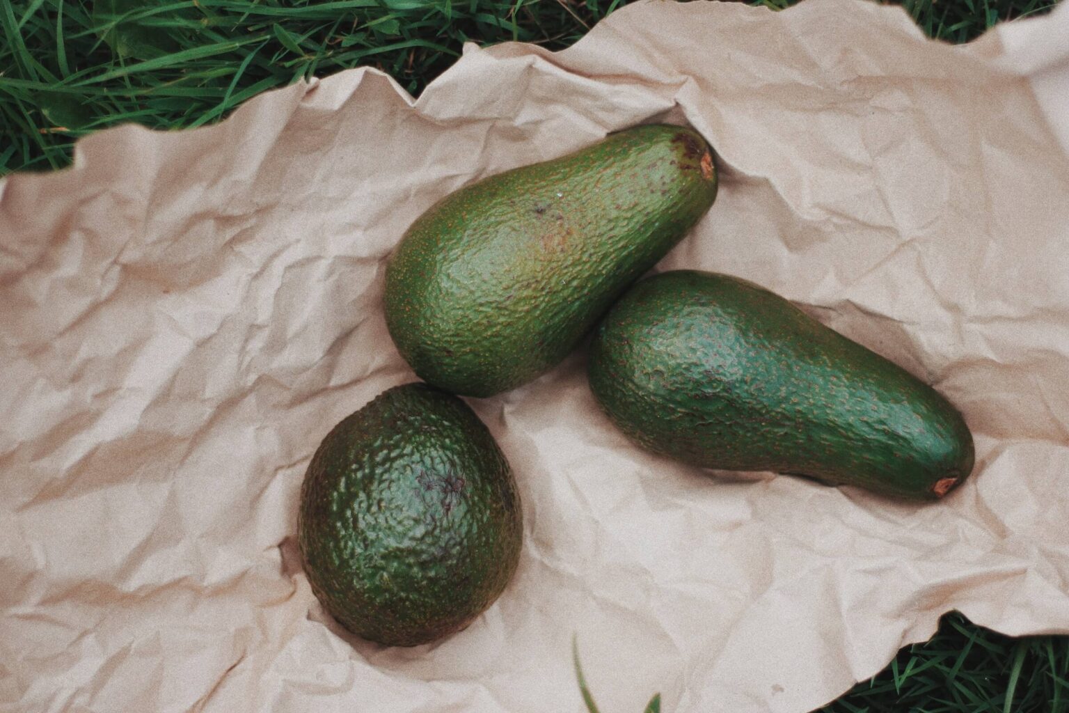 Avocado: Tot ce trebuie să știi despre acest fruct + rețete gustoase