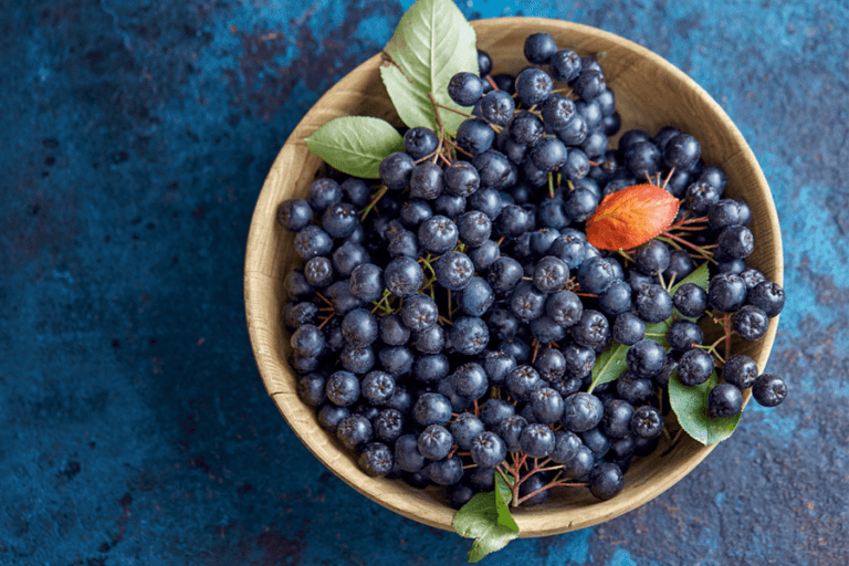 Aronia: De ce este bine să consumi acest fruct. Află detaliile din articol.