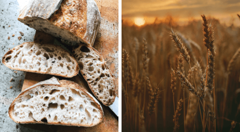 Graul spelta – cereala magica